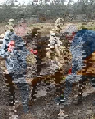 Про DataArt | Глобальна компанія з розробки програмного забезпечення